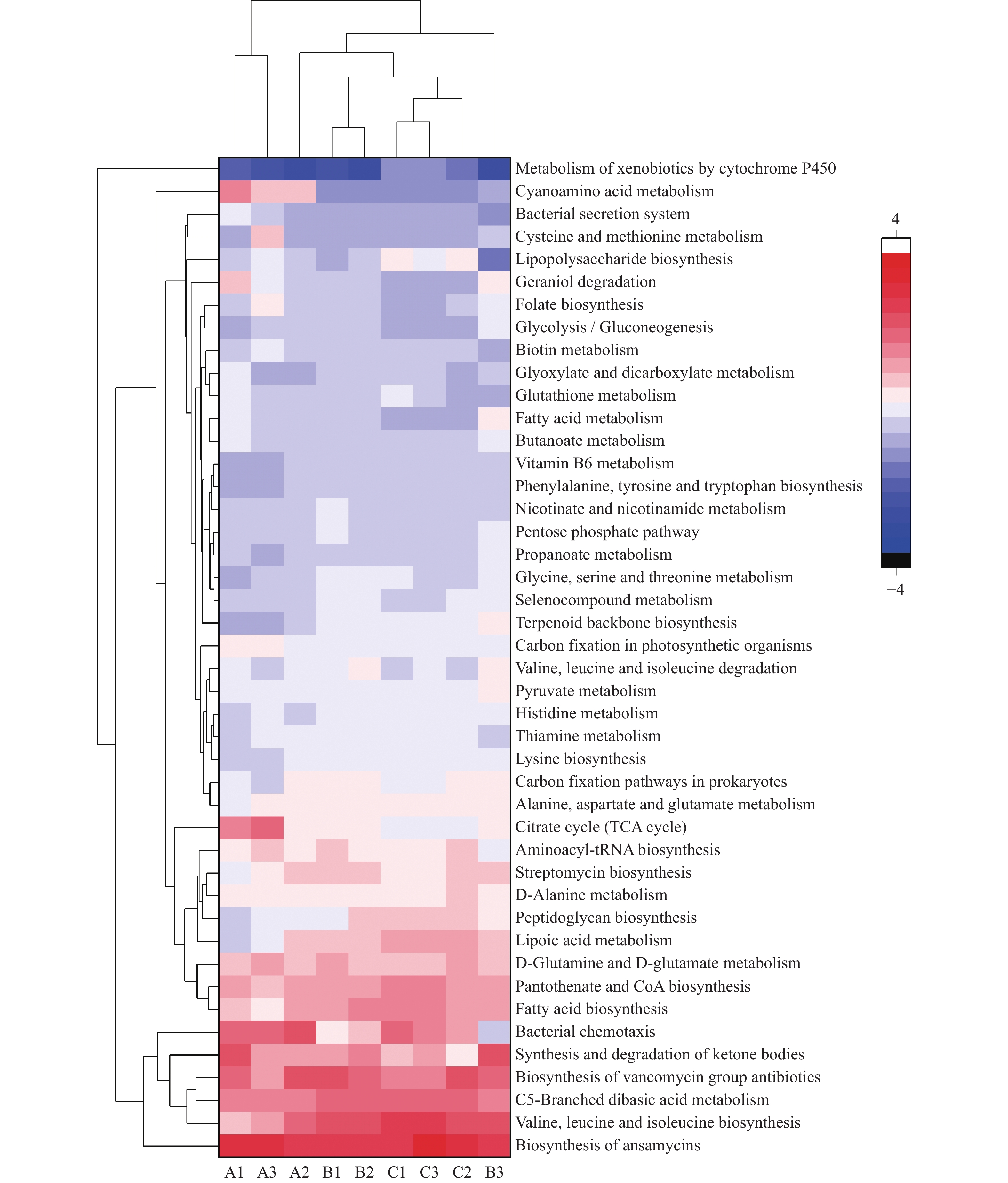 Characteristics of bacterial community structure in alpine soil of East ...